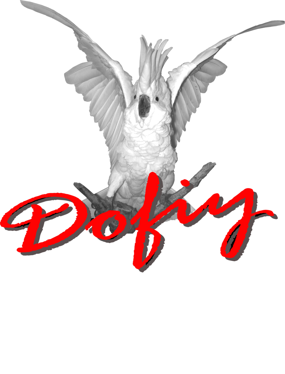dofiy 趙版 - 客製化衣服、個性化T恤、T恤創作│LOGOless